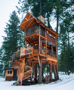 Wiring for Tree Houses | Southern Electrical Services Company